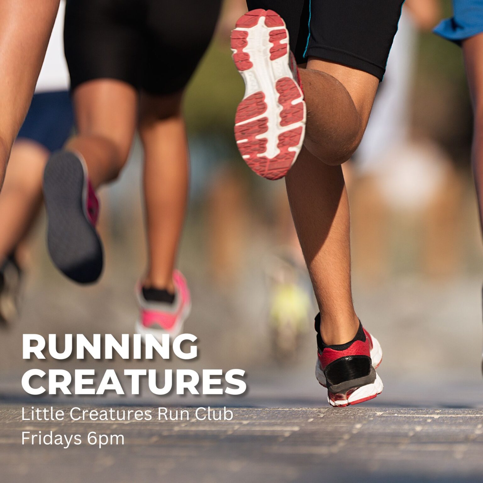 Running Creatures – Little Creatures